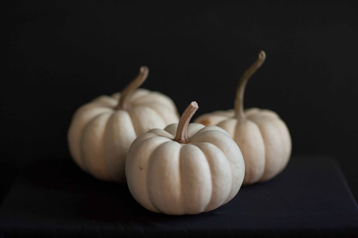 White Pumpkins: A Guide to This Unique and Versatile Variety ...