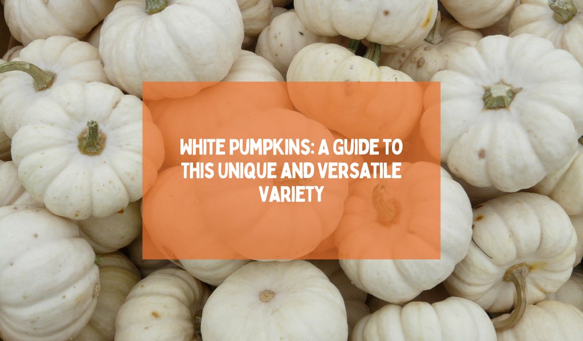 White Pumpkins: A Guide to This Unique and Versatile Variety ...