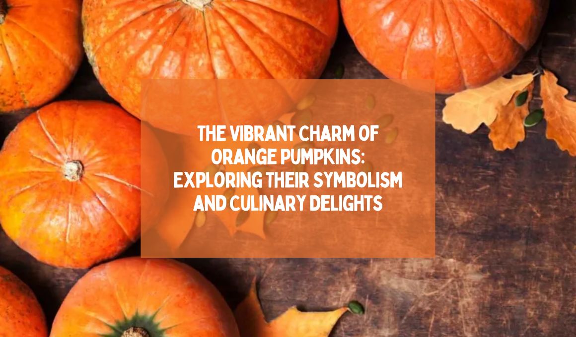 The Vibrant Charm of Orange Pumpkins: Exploring Their Symbolism and ...